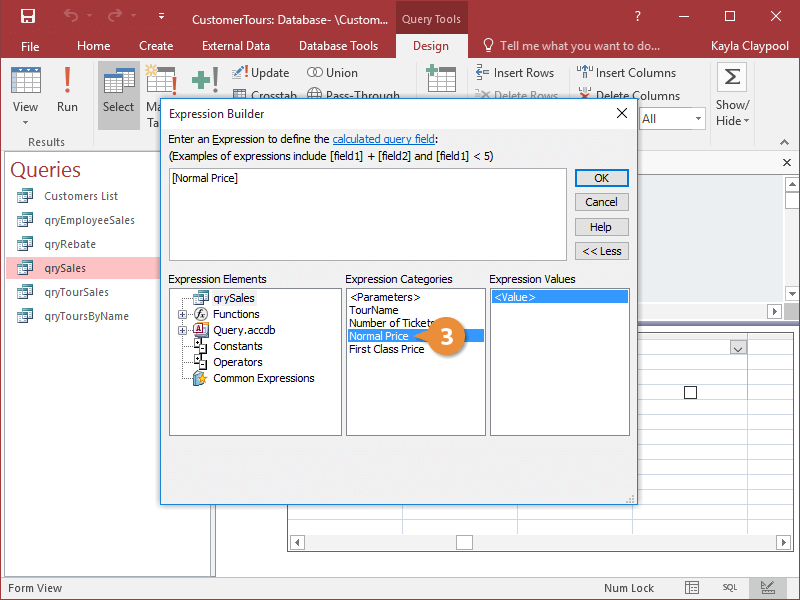 Work with Expressions and the Expression Builder | CustomGuide