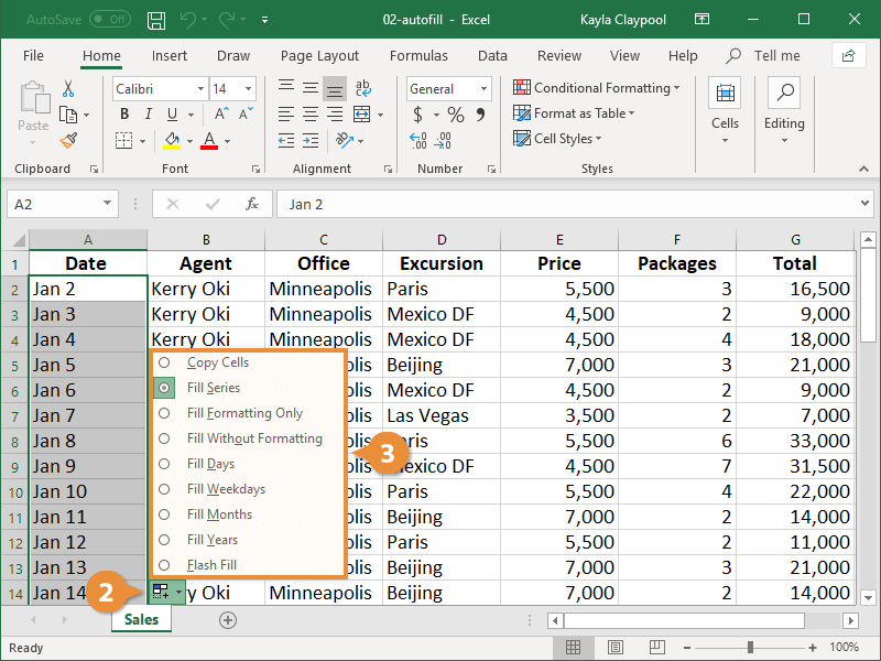 Excel AutoFill CustomGuide