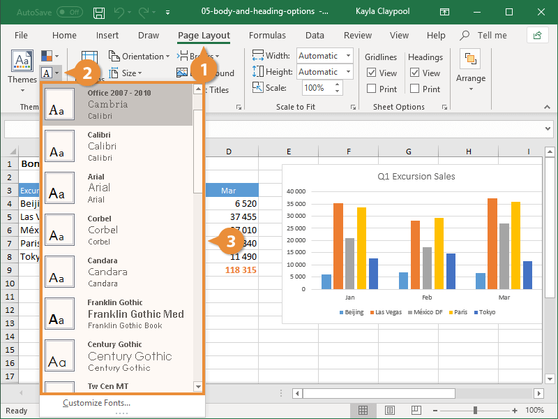 Set Theme Font In Excel CustomGuide