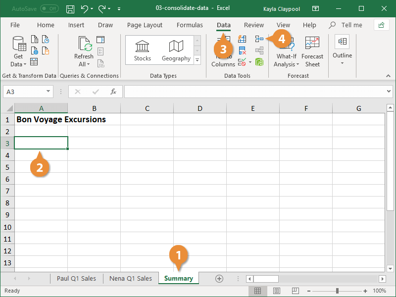 Excel Consolidate CustomGuide