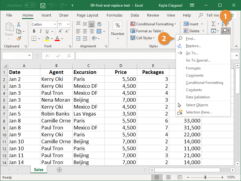 Find Replace In Excel CustomGuide