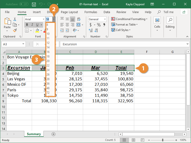 How To Format Text In Excel CustomGuide