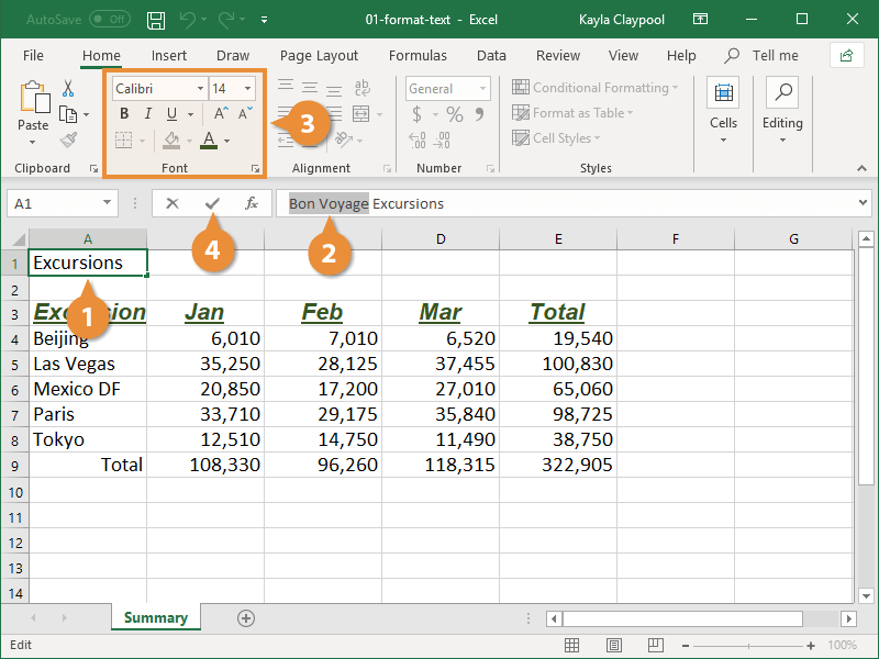 How To Format Text In Excel CustomGuide