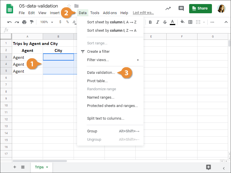 Data Validation CustomGuide
