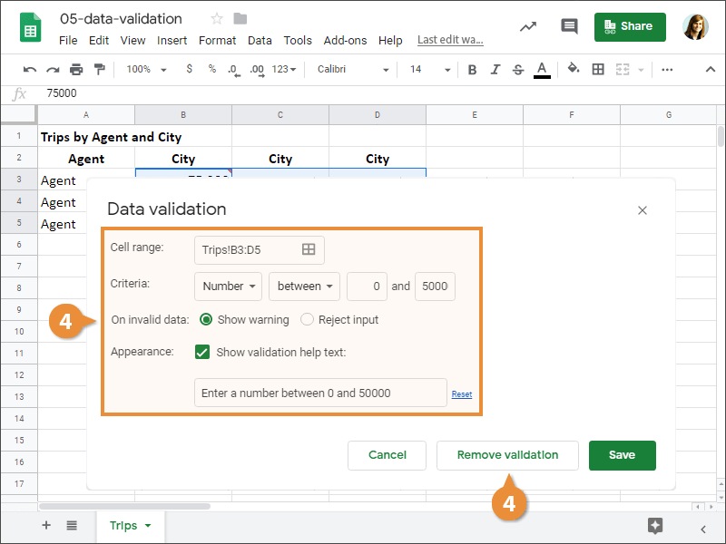 Data Validation CustomGuide