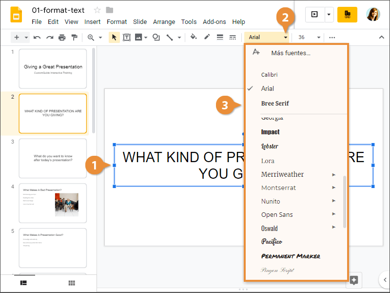 Format Text CustomGuide
